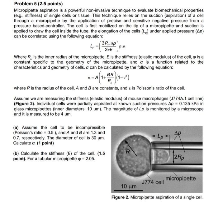 Solved Problem 5 ( 2.5 points) Micropipette aspiration is a | Chegg.com