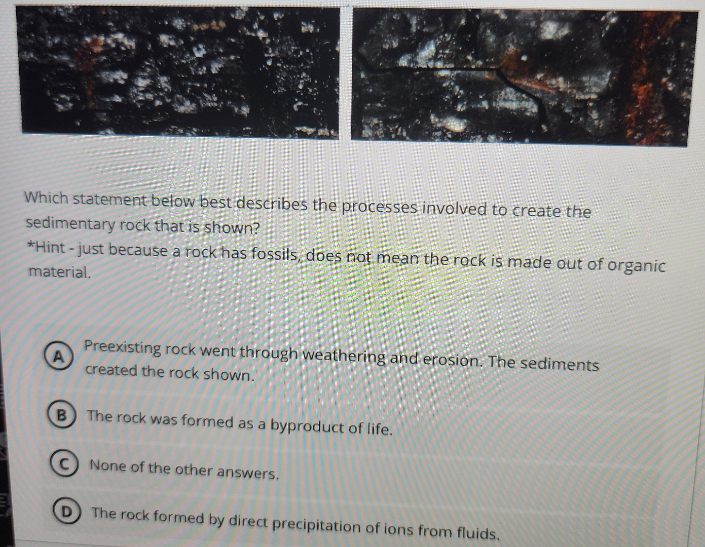 Solved Which statement befow best describes the processes | Chegg.com