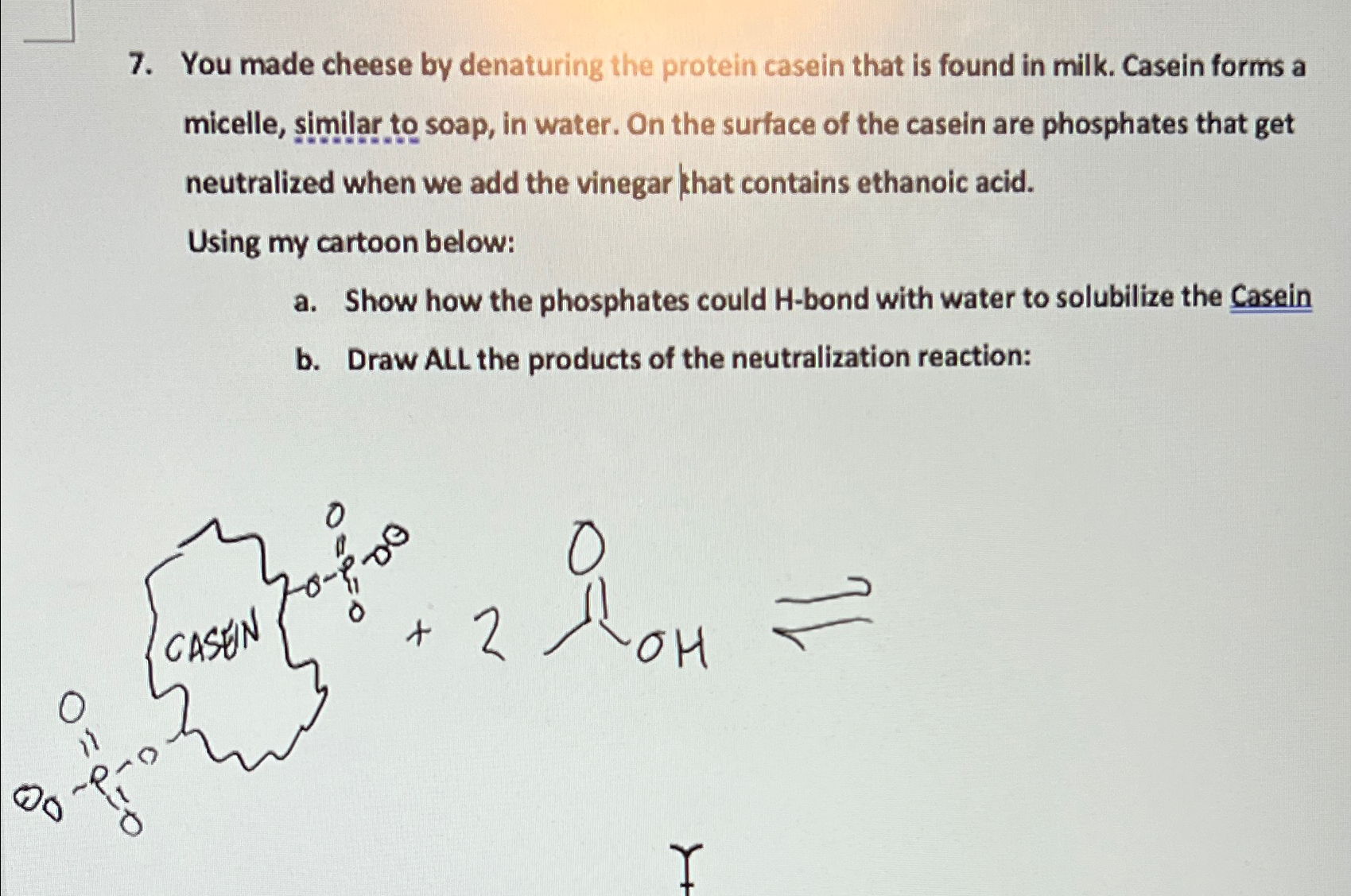 Solved I need help with understannding the reaction between | Chegg.com