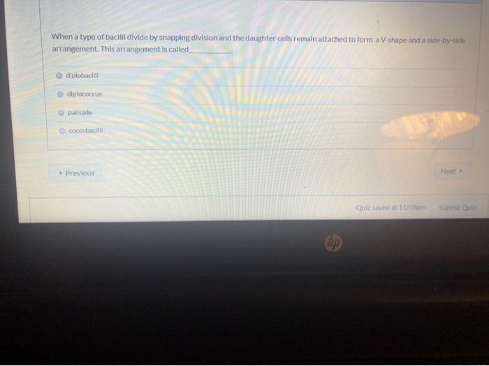 Solved When a type of bacilli divide by snapping division | Chegg.com