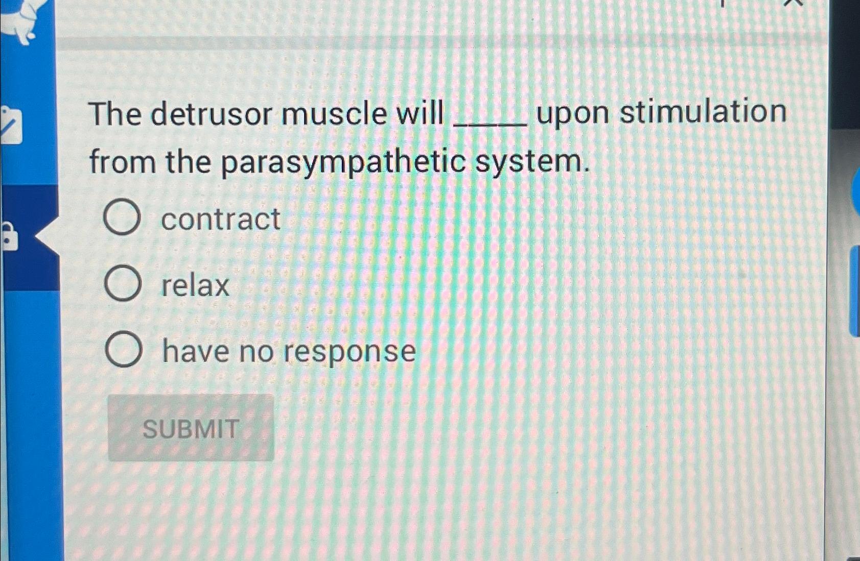 Solved The detrusor muscle will upon stimulation from the | Chegg.com