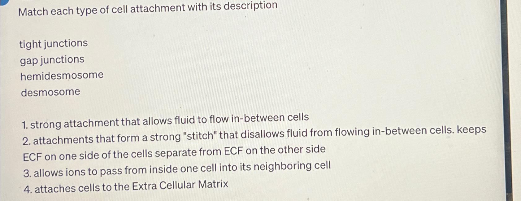 Solved Match each type of cell attachment with its | Chegg.com