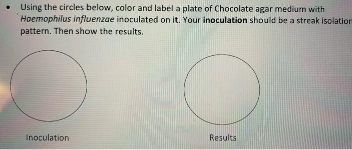 Solved Using the circles below, color and label a plate of | Chegg.com