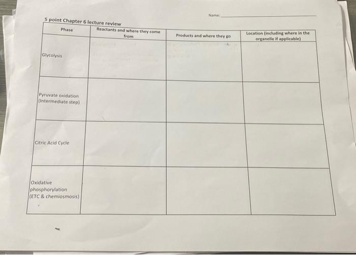 Solved 5 point Chapter 6 Inatu.. | Chegg.com