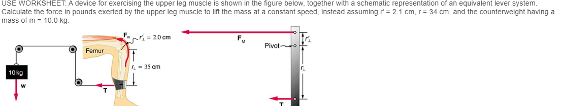 Solved USE WORKSHEET: A device for exercising the upper leg | Chegg.com