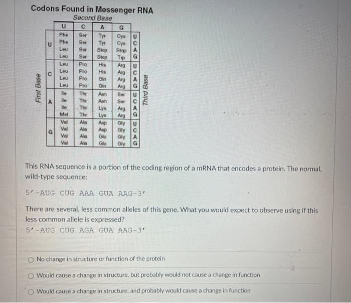 Solved Ser Stop Codons Found in Messenger RNA Second Base U | Chegg.com