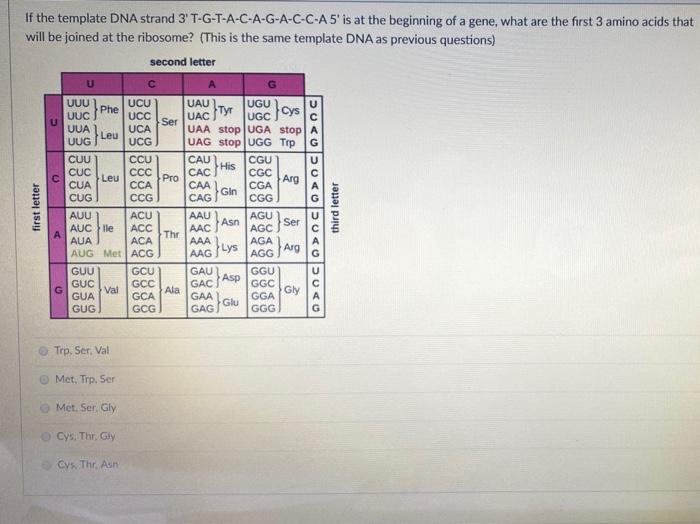 Solved The base sequence in the template strand of a DNA | Chegg.com