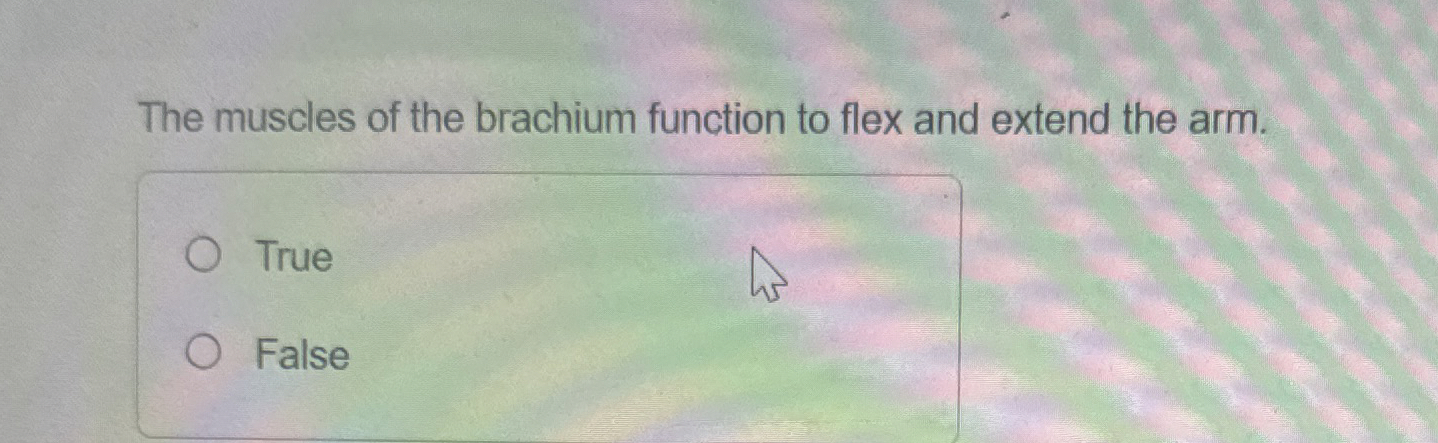 Solved The muscles of the brachium function to flex and | Chegg.com
