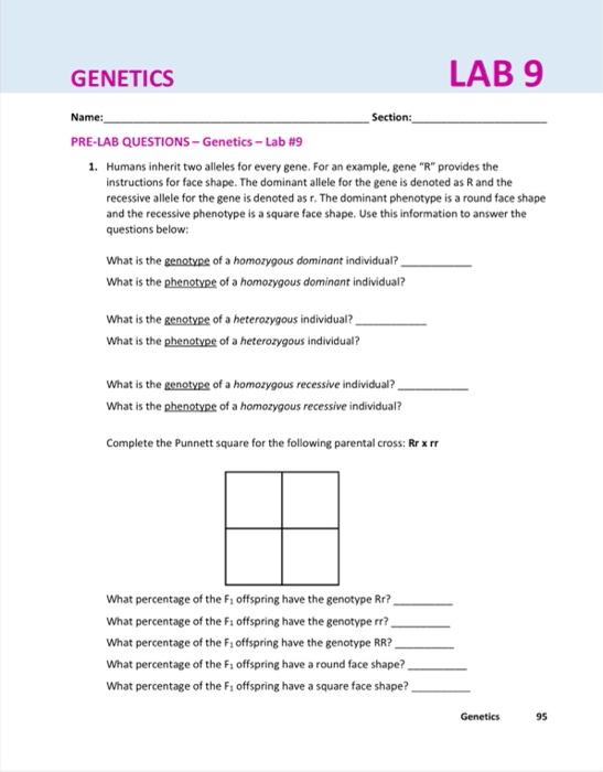 Solved GENETICS LAB 9 Name: Section: PRE-LAB QUESTIONS - | Chegg.com