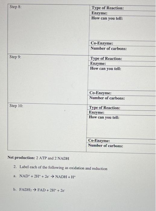 Solved 1. Map out the 10-step linear metabolic pathway of | Chegg.com
