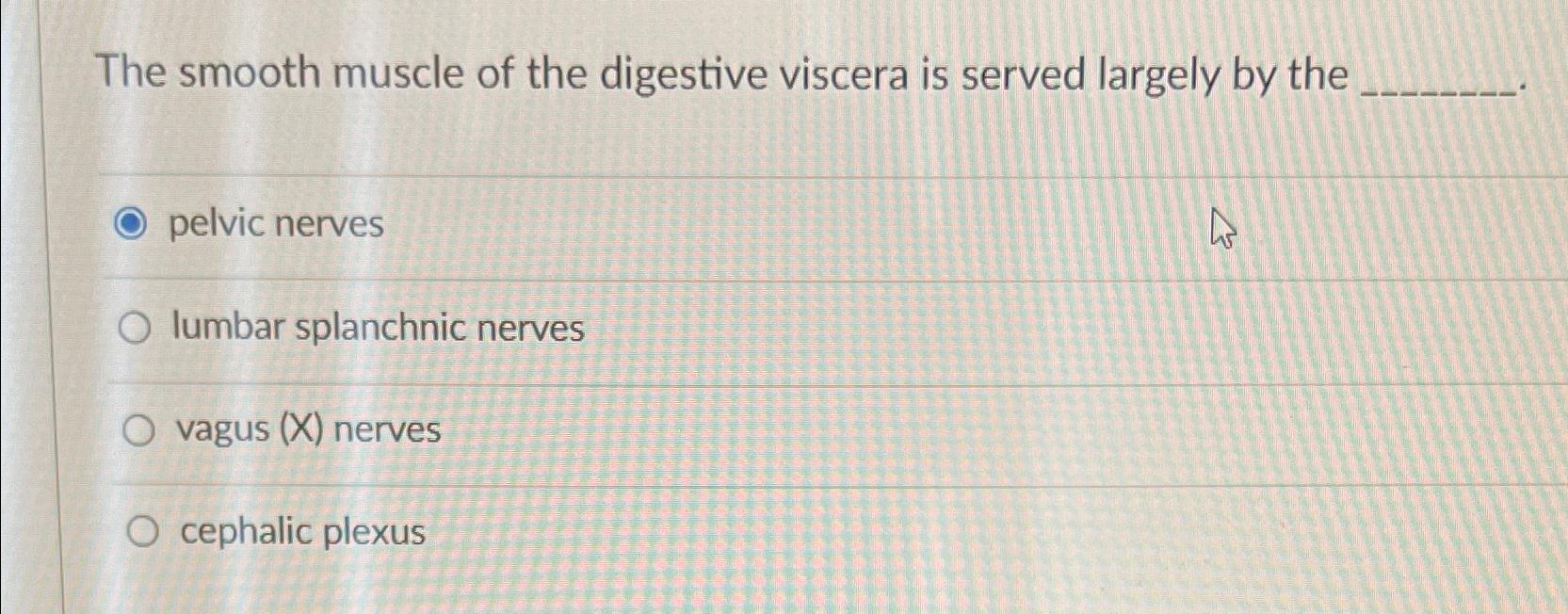 Solved The smooth muscle of the digestive viscera is served | Chegg.com
