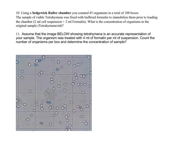 Solved 10. Using a Sedgewick Rafter chamber you counted 45 | Chegg.com