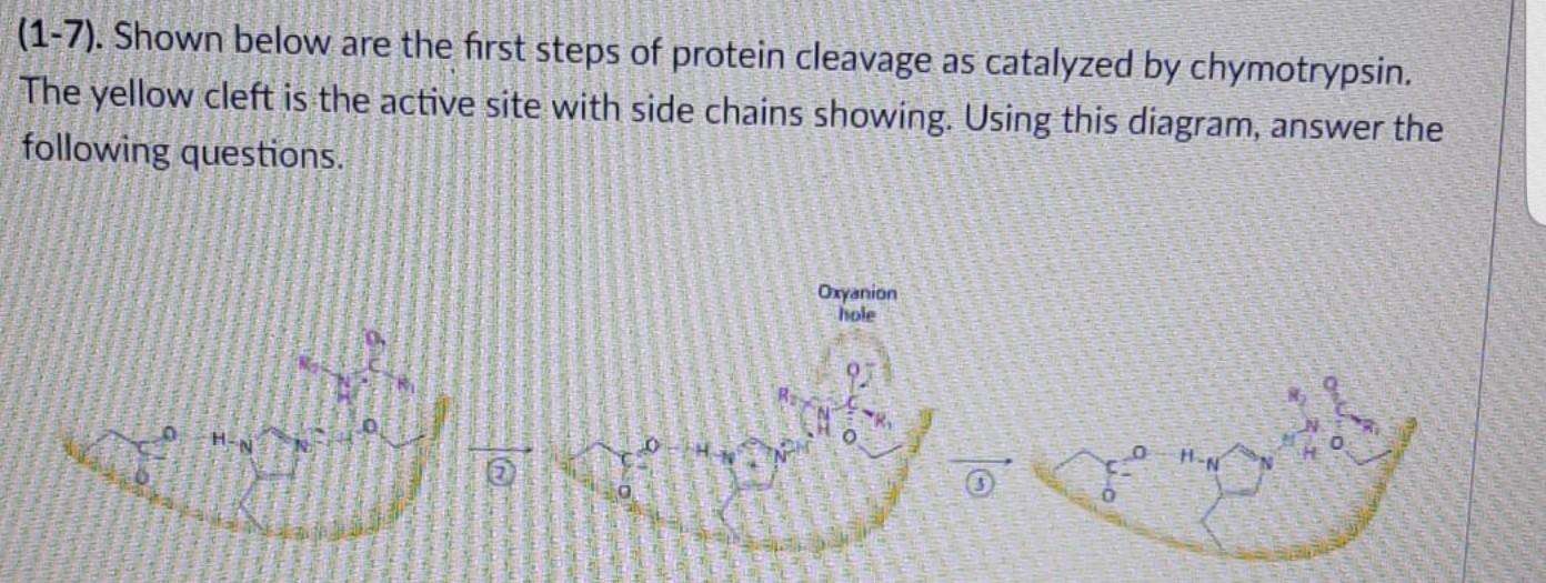 6. Tosyl-l-phenylalanine chloromethyl ketone (TPCK) | Chegg.com