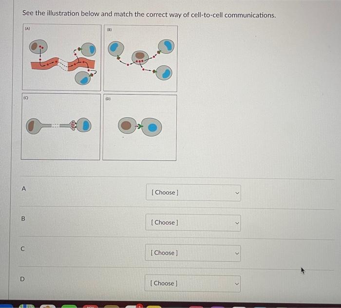 Solved See the illustration below and match the correct way | Chegg.com