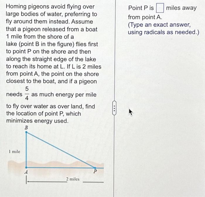 Solved Homing pigeons avoid flying over Point P is miles | Chegg.com