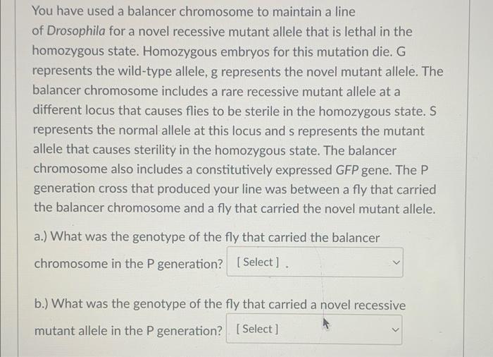Solved You have used a balancer chromosome to maintain a | Chegg.com