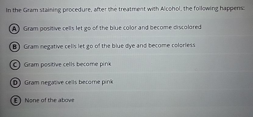 Solved In the Gram staining procedure, after the treatment | Chegg.com