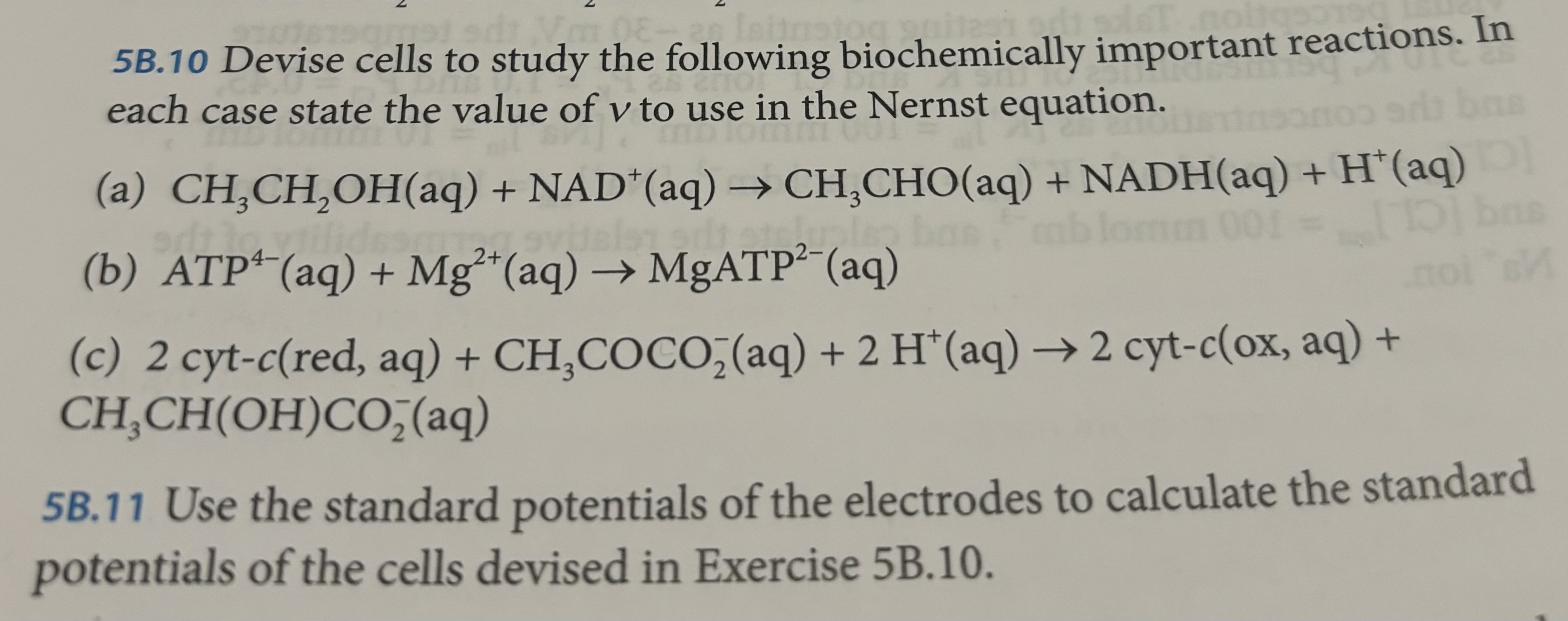 Solved 5B.10 ﻿Devise cells to study the following | Chegg.com