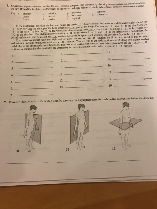 Solved e te each statement by choosing the appropriate | Chegg.com