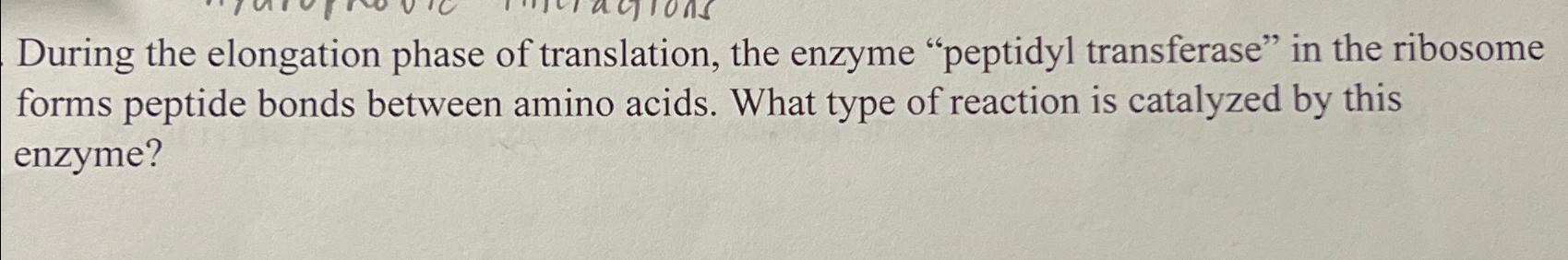Solved During the elongation phase of translation, the | Chegg.com