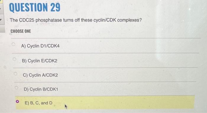 QUESTION 29 The CDC25 phosphatase turns off these | Chegg.com