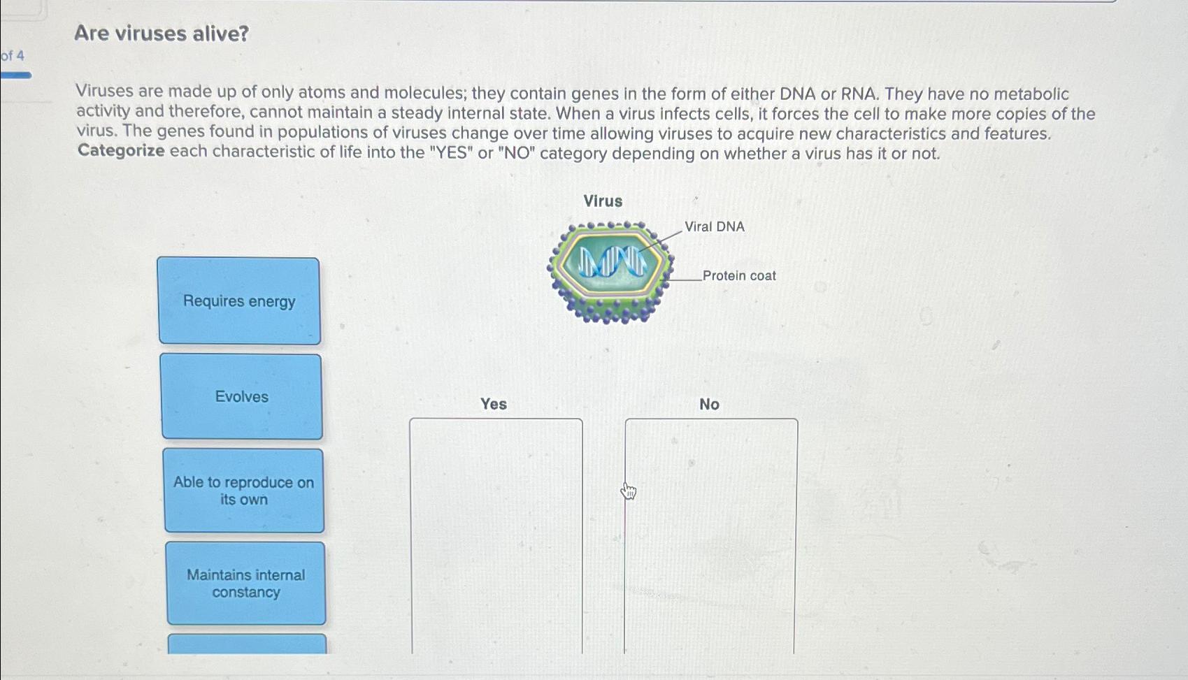 Are viruses alive?\\nViruses are made up of only | Chegg.com
