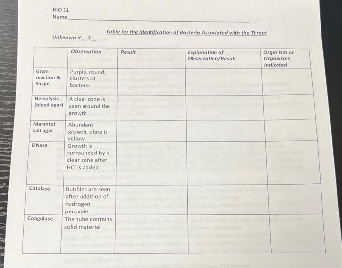 BIO 51 Lab Report for the identification of Bacteria | Chegg.com