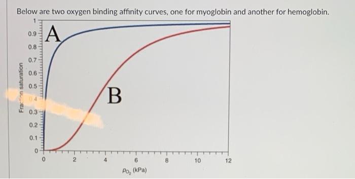 Solved Below are two oxygen binding affinity curves, one for | Chegg.com