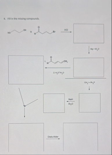 Solved Fill in the missing compounds.Mg Br2O 2 . ﻿Hy | Chegg.com