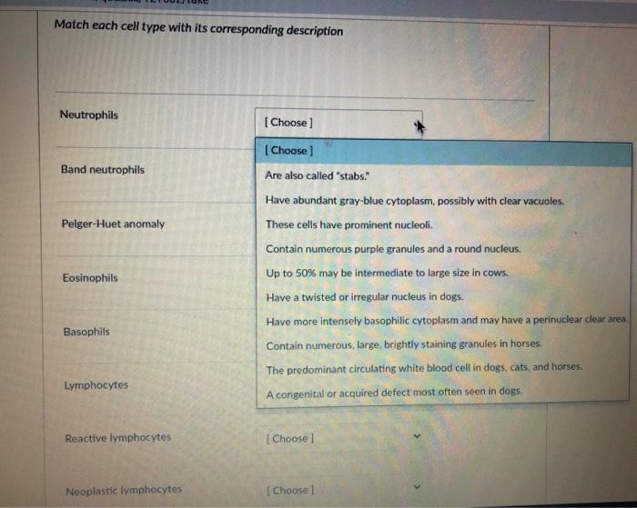 Solved Match each cell type with its corresponding | Chegg.com