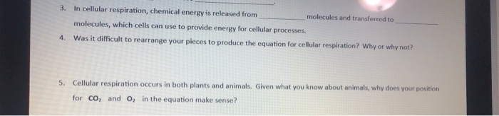 Solved 3. In cellular respiration, chemical energy is | Chegg.com