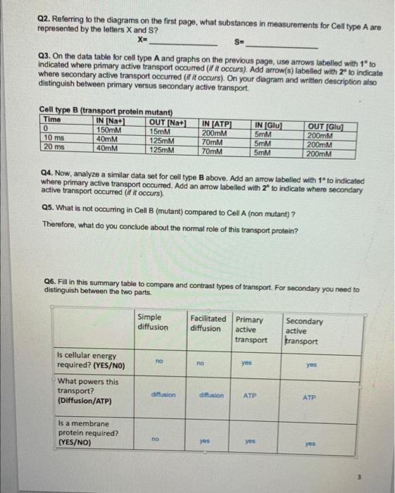 Solved Worksheet 22 Primary and Secondary Active Transport | Chegg.com