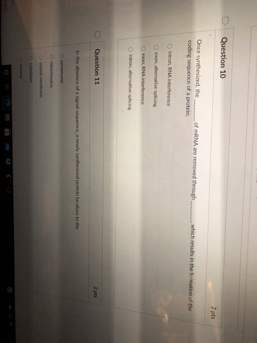 Solved Question 10 2 pts Once synthesized, the coding | Chegg.com