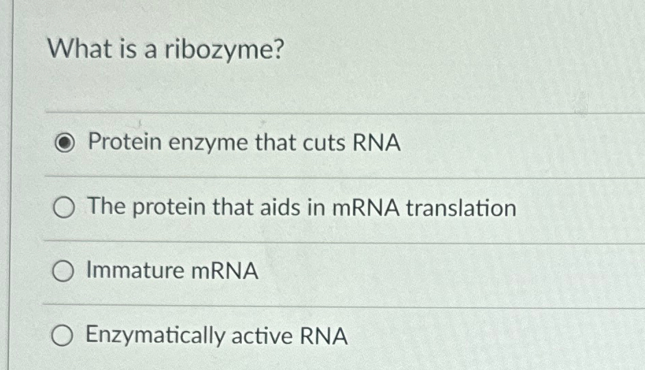Solved What is a ribozyme?Protein enzyme that cuts RNAThe | Chegg.com