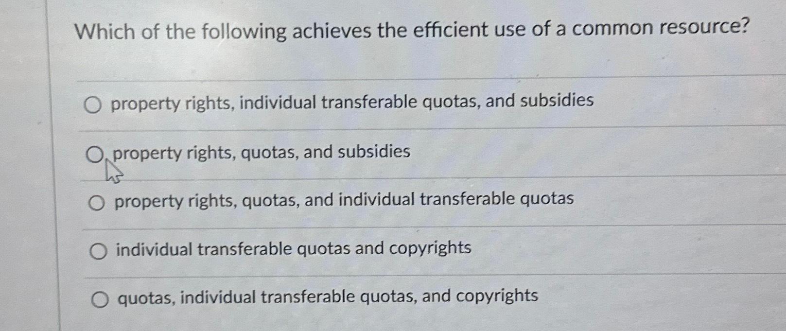 Which of the following achieves the efficient use of | Chegg.com