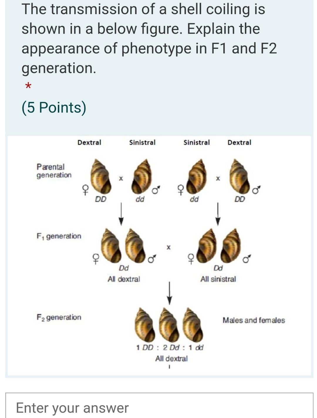 Solved The transmission of a shell coiling is shown in a | Chegg.com