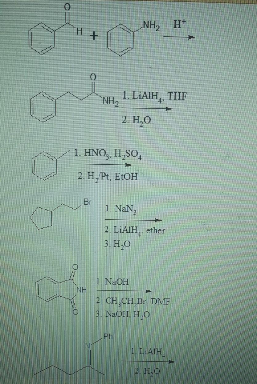 Solved H + NH2 H+ 9 "NH2 1. LiAIH, THF 2. HO 1. HNO3, H2SO4 | Chegg.com