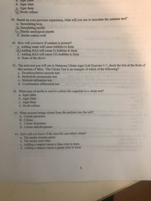 Solved 2. A plate b. Agar slant c. Agar deep a Broth culture | Chegg.com