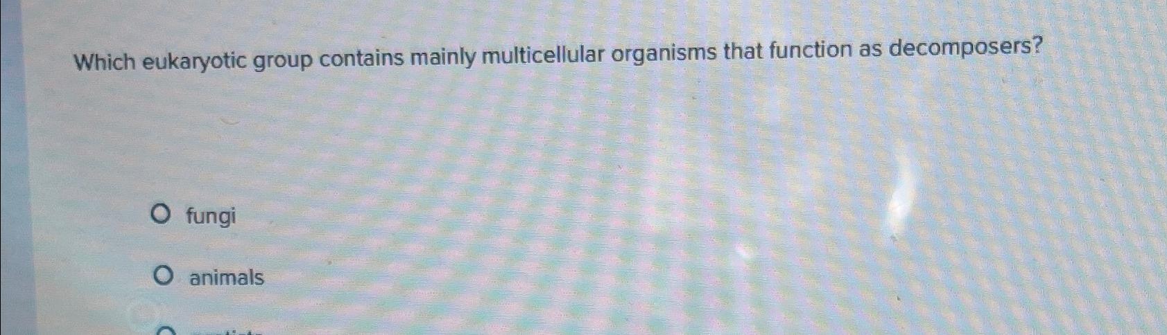 Solved Which eukaryotic group contains mainly multicellular | Chegg.com