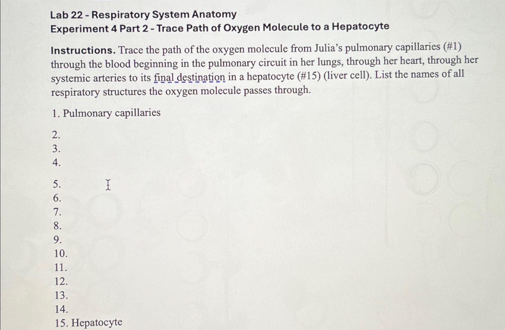 Solved Lab 22 - ﻿Respiratory System AnatomyExperiment 4 | Chegg.com