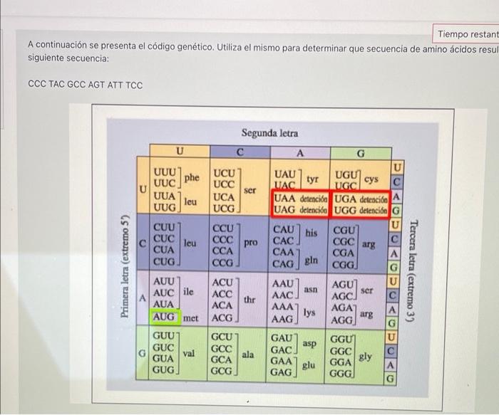 Tiempo restant A continuación se presenta el código | Chegg.com