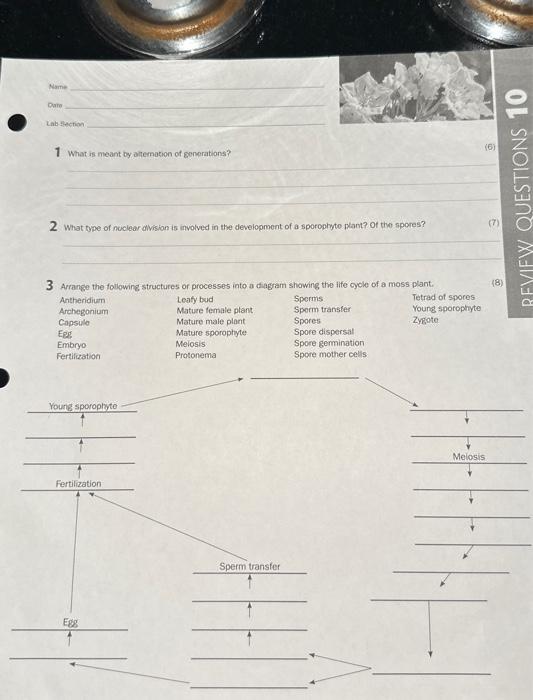 Solved 1 What is meant by ahemation of generations? (6) 2 | Chegg.com