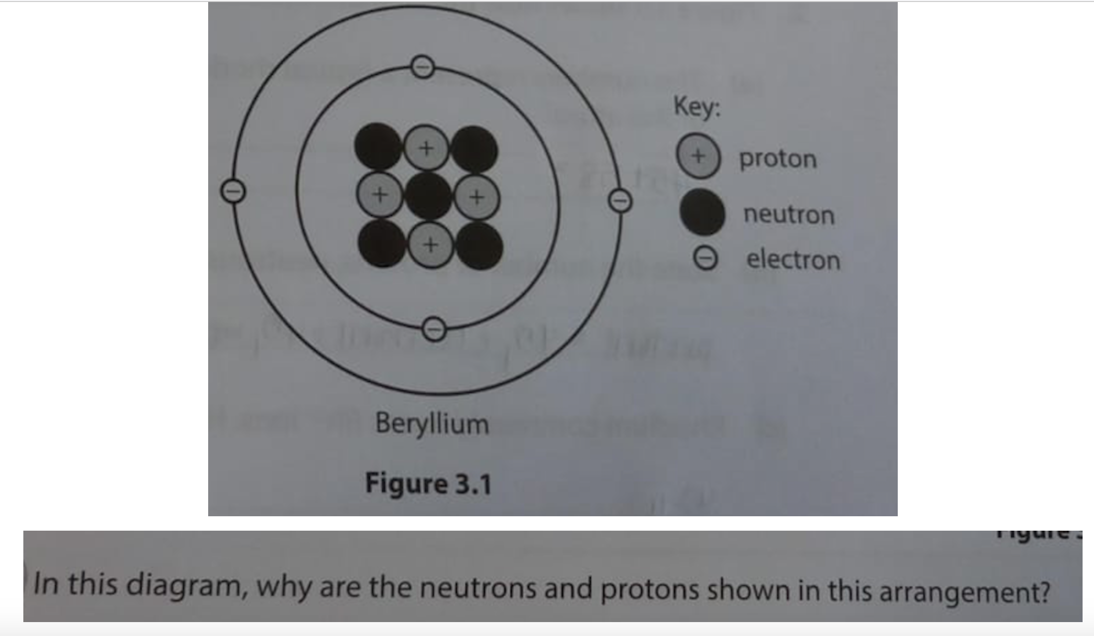 Solved In this diagram, why are the neutrons and protons | Chegg.com