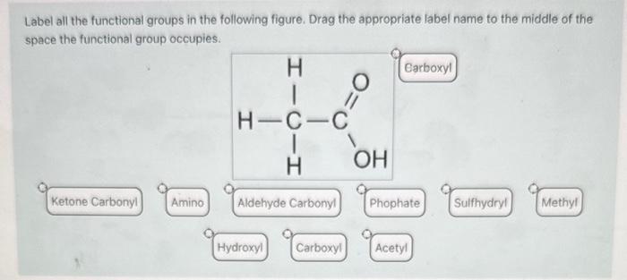 Solved Label all the functional groups in the following | Chegg.com