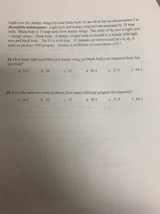 Light eyes (lt), dumpy wings (dy) and black body (b) | Chegg.com