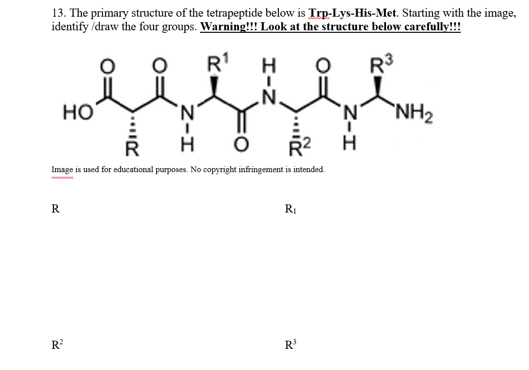 Solved The primary structure of the tetrapeptide below is | Chegg.com