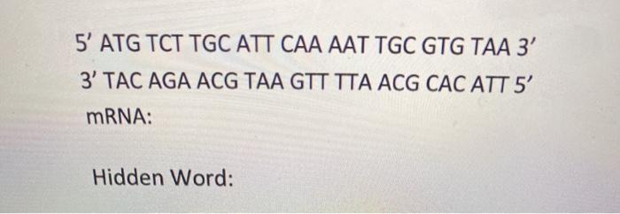Solved 5' ATG TCT TGC ATT CAA AAT TGC GTG TAA 3' 3' TAC AGA | Chegg.com Solved 5' ATG TCT TGC ATT CAA AAT TGC GTG TAA 3' 3' TAC AGA | Chegg.com