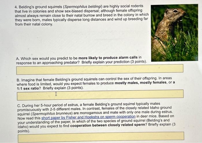 Solved 4. Belding's ground squirrels (Spermophilus beldingi) | Chegg.com