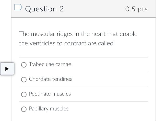 Solved The muscular ridges in the heart that enable the | Chegg.com