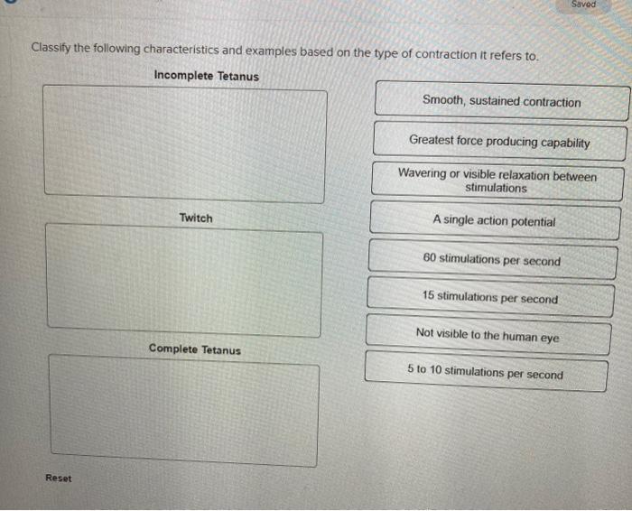 Solved Classify the following characteristics and examples | Chegg.com